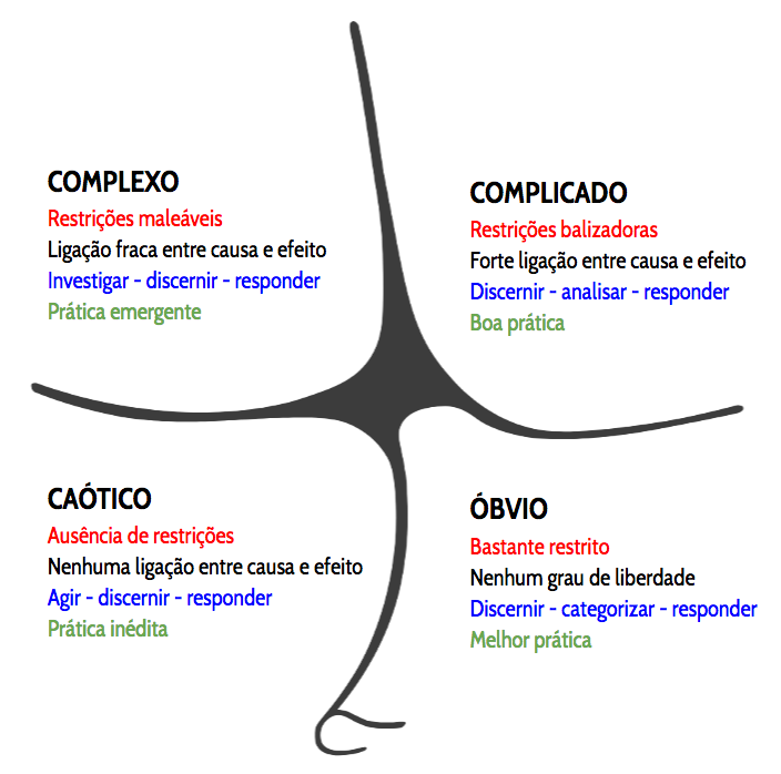 O Modelo Cynefin e a Complexidade do Mundo Atual - Conexão Agile